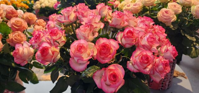 กปว. #กองส่งเสริมและประสานเพื่อประโยชน์ทางวิทยาศาสตร์ วิจัยและนวัตกรรม